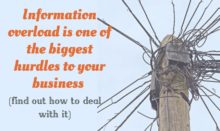 Information overload is one of the biggest hurdles to your business ...