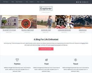 Choose the best WordPress theme for your blog from this list of 45!
